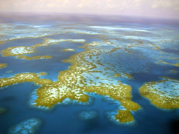 BiOjUnKiEs: Arrecife Alacranes