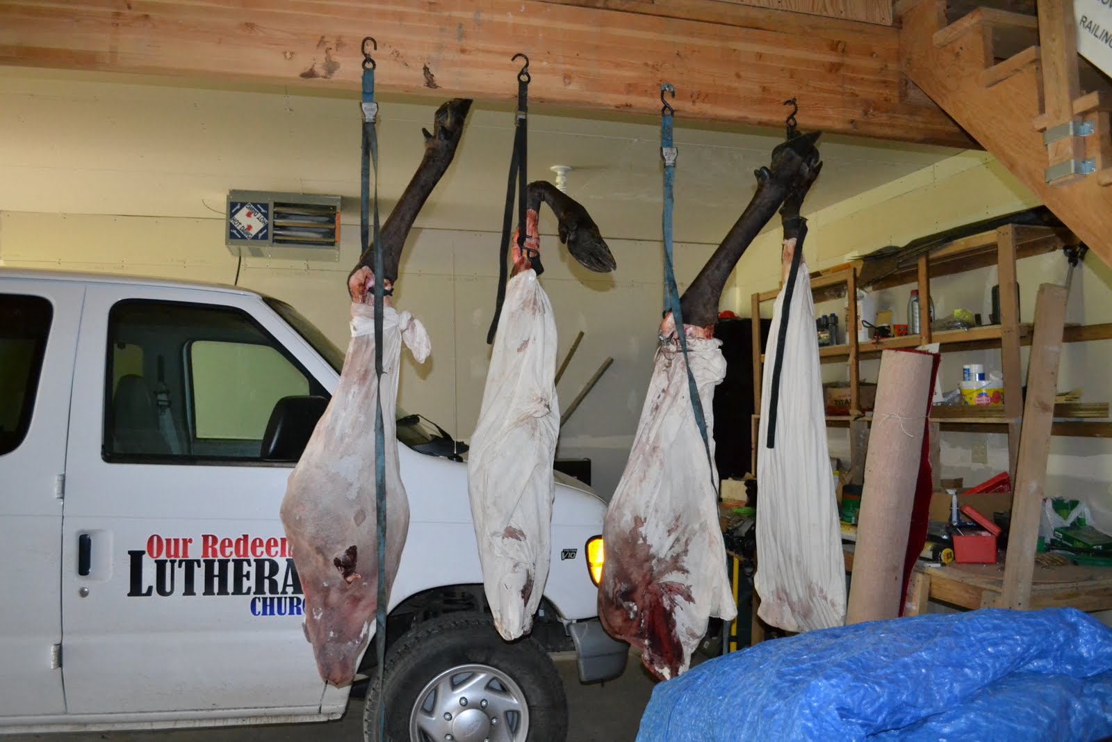 A Mountainous Journey: Mmmm! Moose Meat!