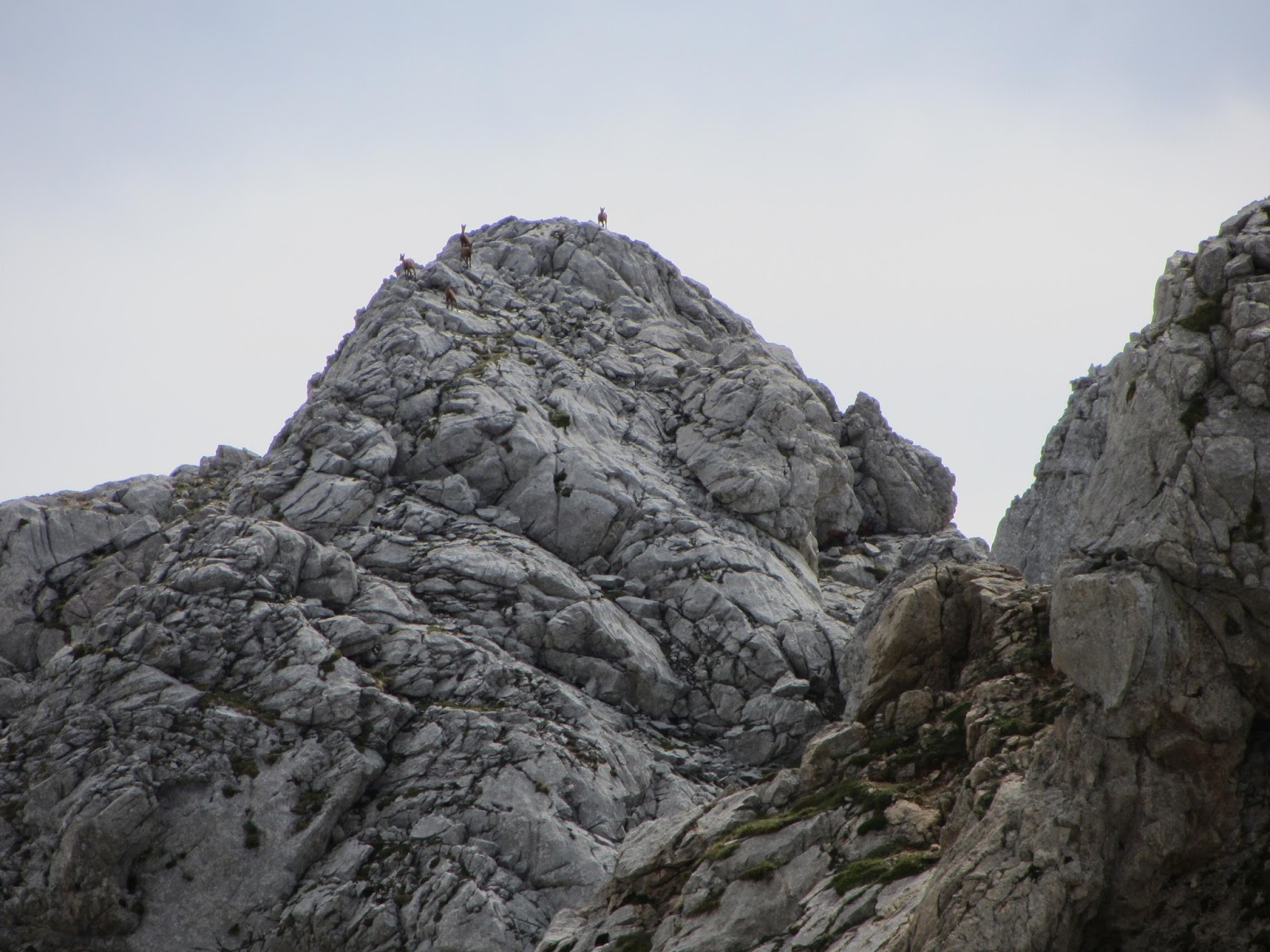 Grupo de montaña "2000 y Pico": Fotos de la subida a la Silla de ...