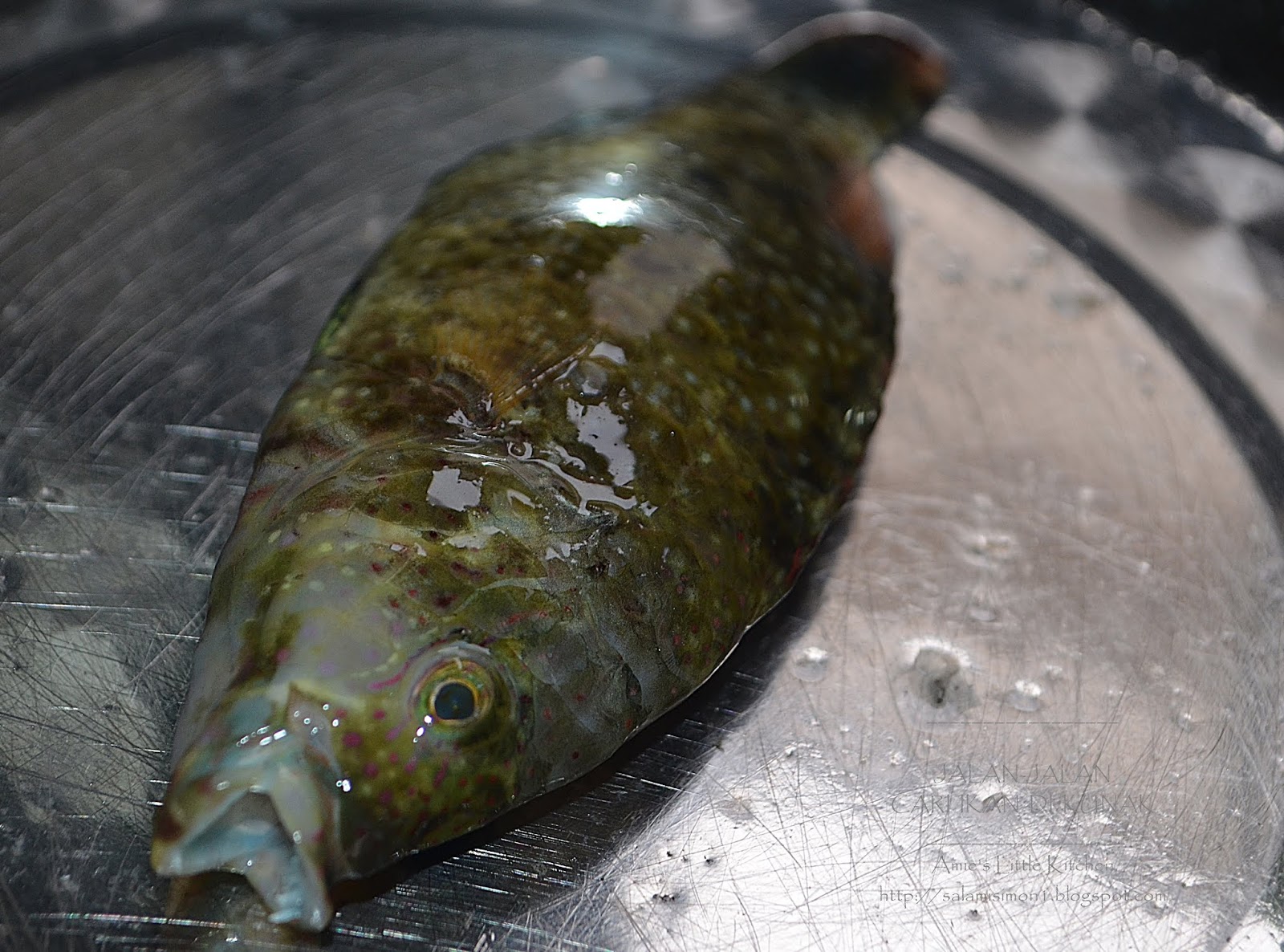 Jalan-Jalan Cari Ikan di Kunak - Amie's Little Kitchen