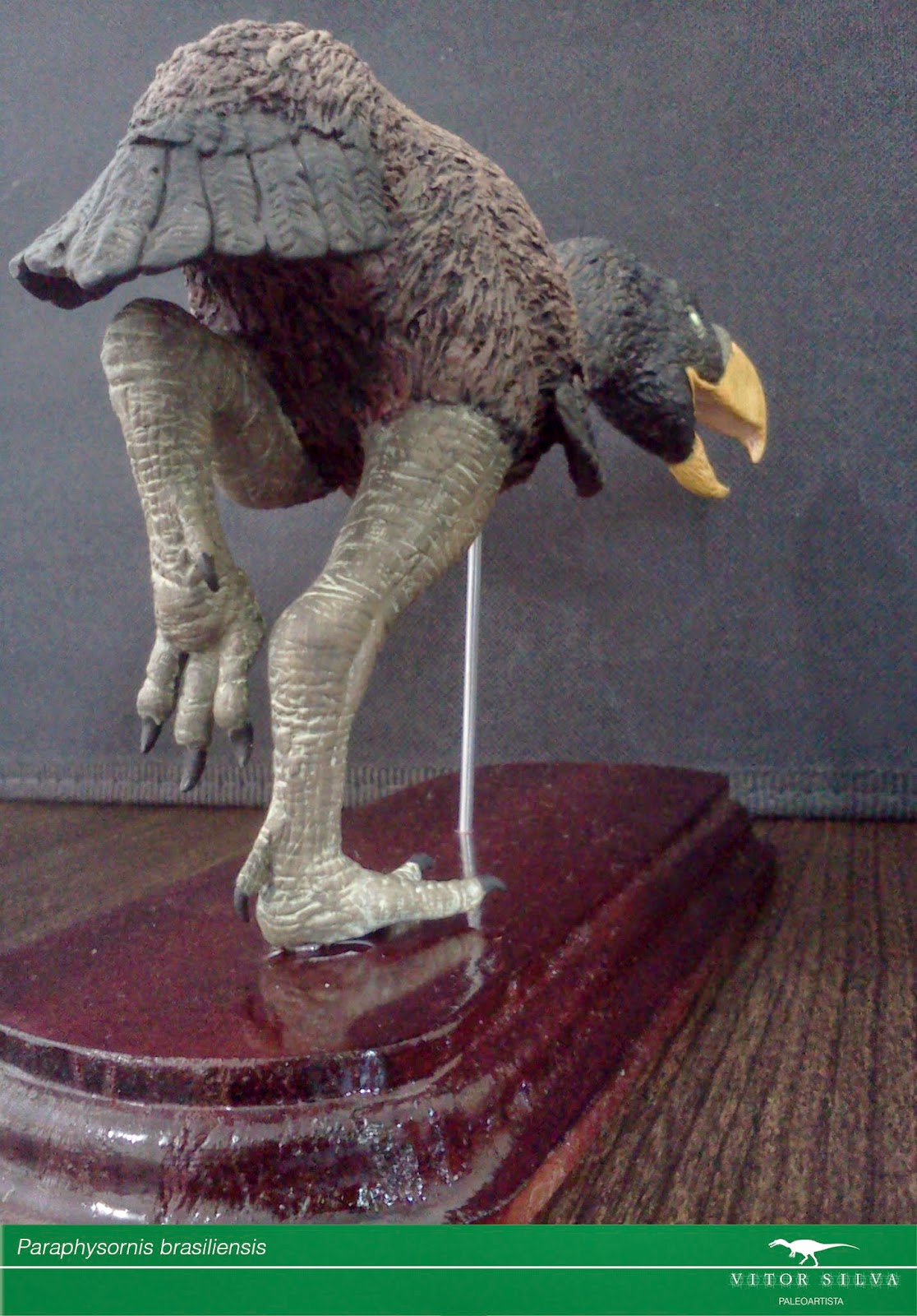 Vitor Silva - Paleoartista: Paraphysornis - Paleo Brasil