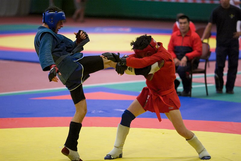 Artes Marciales: Sambo