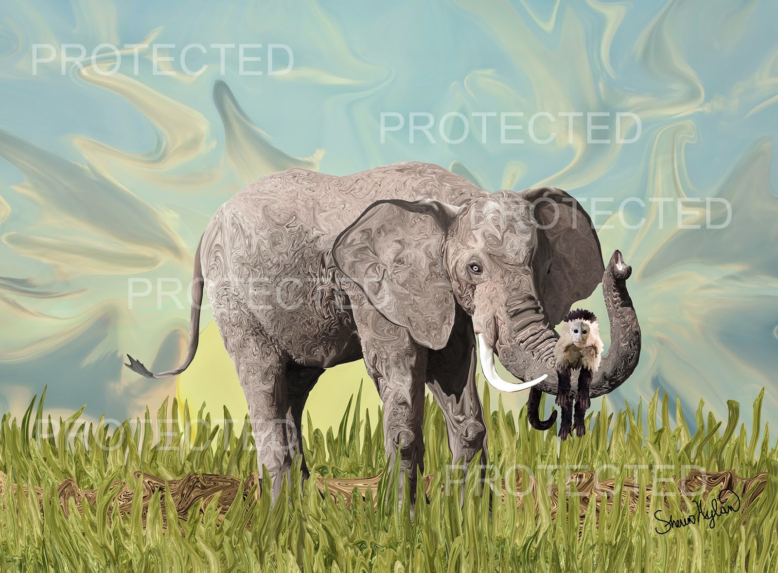 Distortion Art USA - Sherin A. Hylan