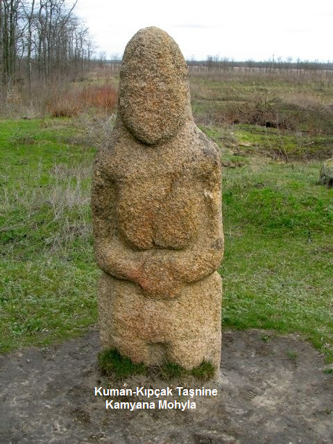 TARİH VE ARKEOLOJİ: The Cumans Turks