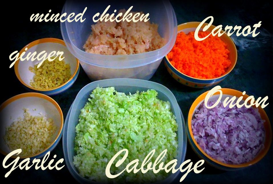 The Spice Of Life...: MOMO / POT STICKERS