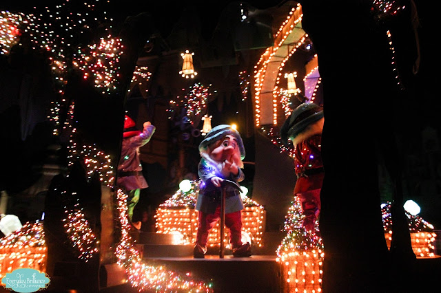 Everyday Brilliance Photography: Main Street Electrical Parade