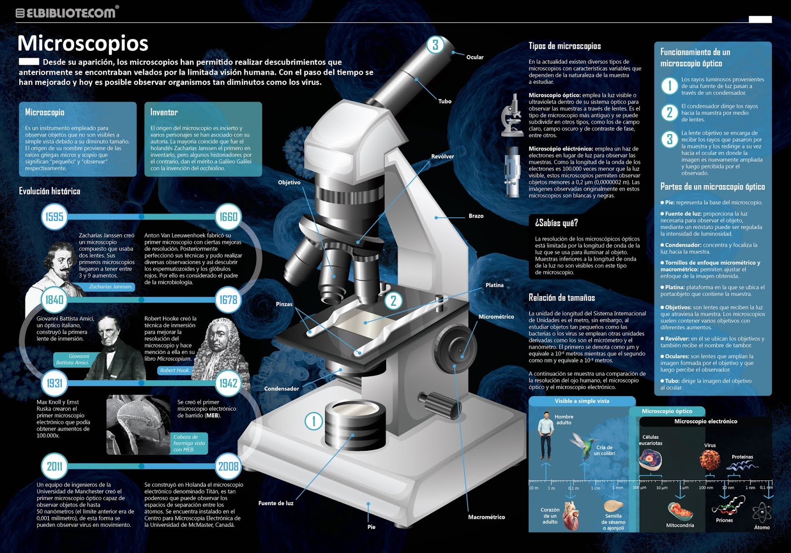 CIENCIA EN LA WEB: Microscopios (infografía)