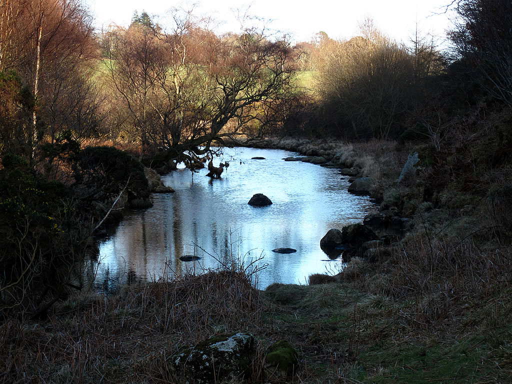 Plank Road: Glen Rosa