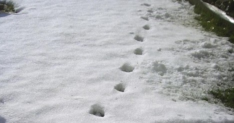 The Devil’s Footprints | Elixir Of Knowledge