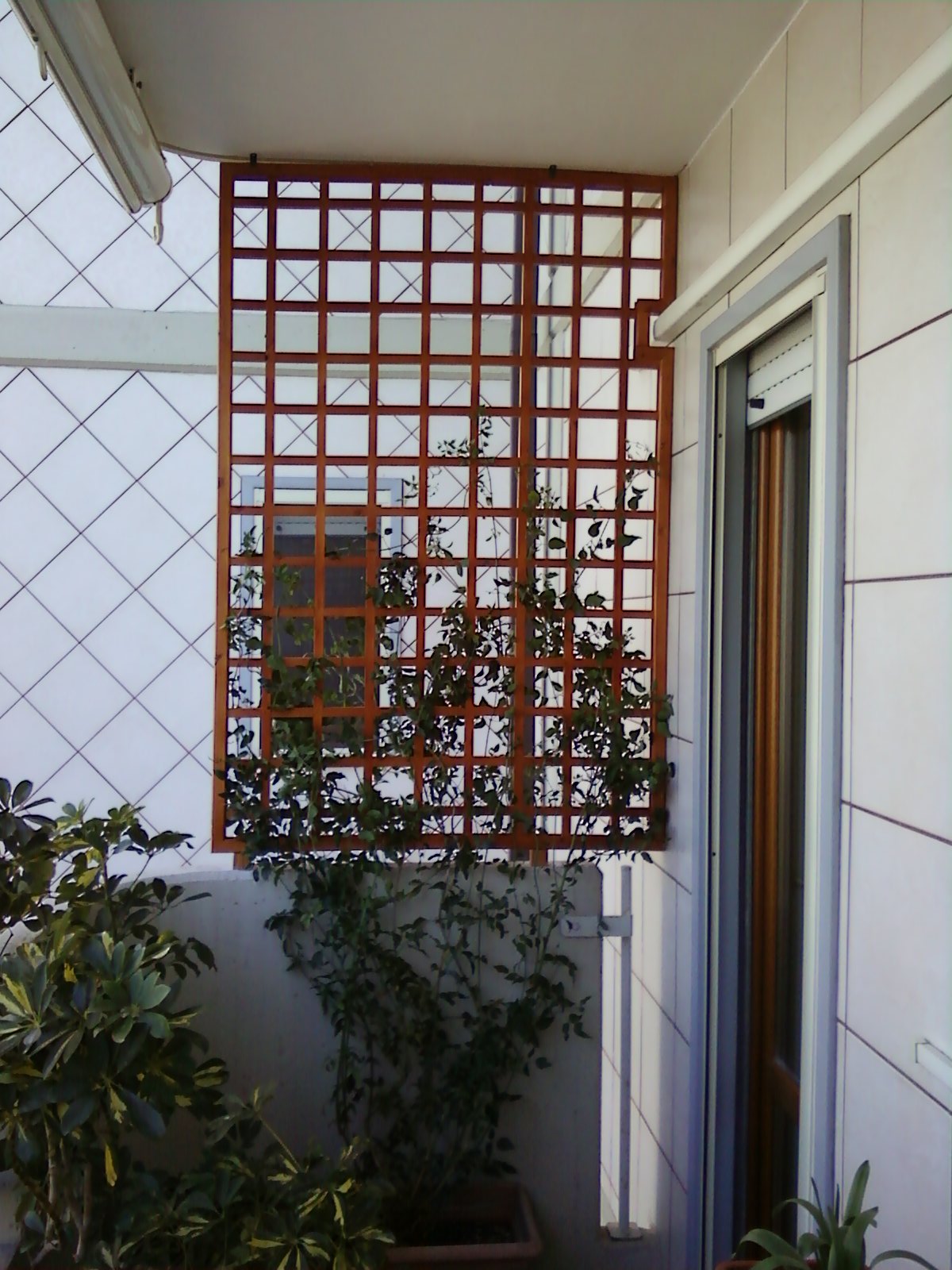 FAI DA TE HOBBY LEGNO: Grigliato