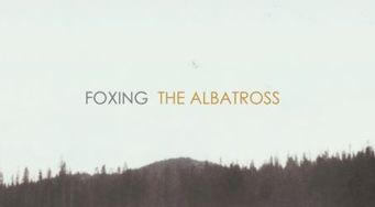 Foxing - The Albatross (Album Artwork) - SOUND IN THE SIGNALS
