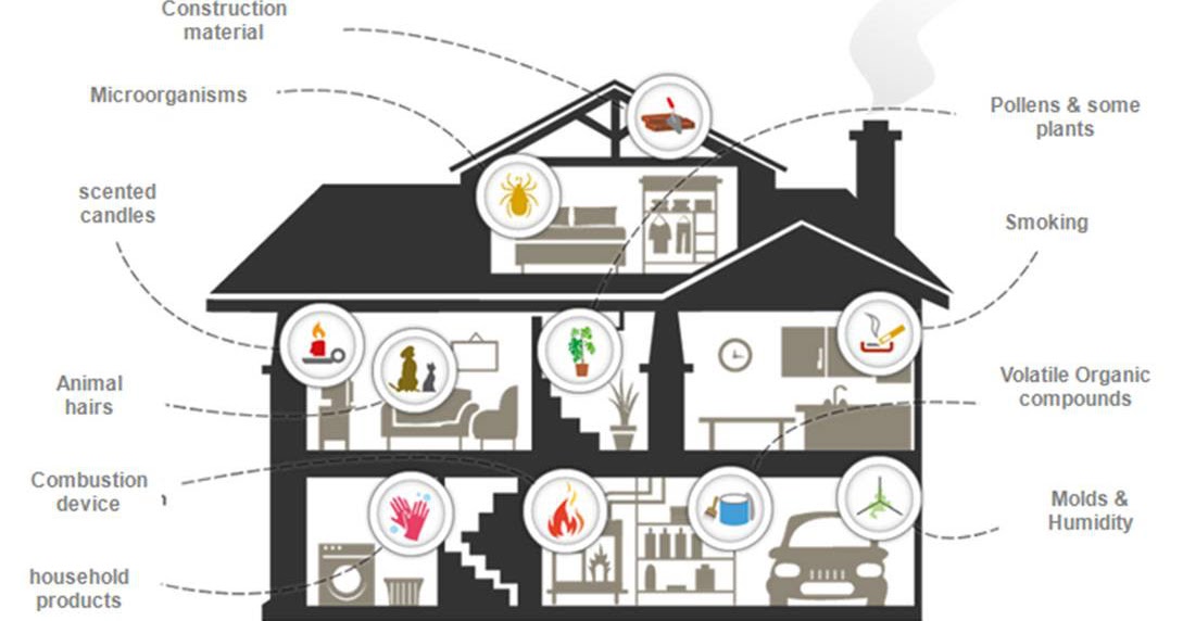 Clean Air Solutions: How to reduce indoor air pollution
