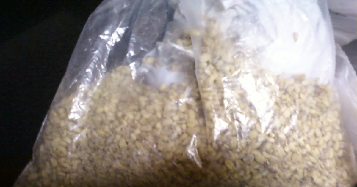 African Nutrition and Fitness: Your Total Health and Wellness Site ...