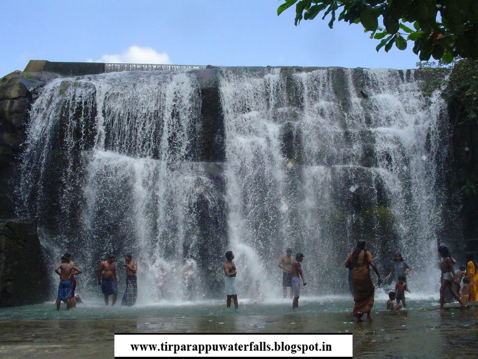 Tirparappu Water Falls: Falls Image