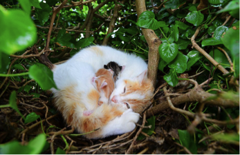 Leading Light: “A modern Nativity the old fashioned way” (aka ...