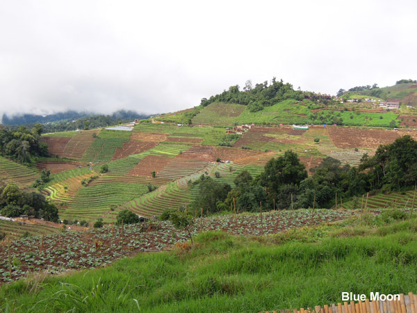 Mon Jam (Mon Cham), Mae Rim - Chiang Mai, Thailand
