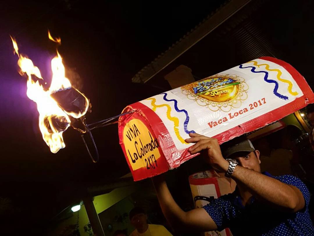 Las ‘vacas locas’, La Colorada.