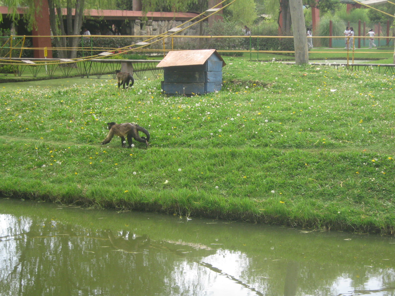 Jaime Duque :D: Historia Del Jaime Duque