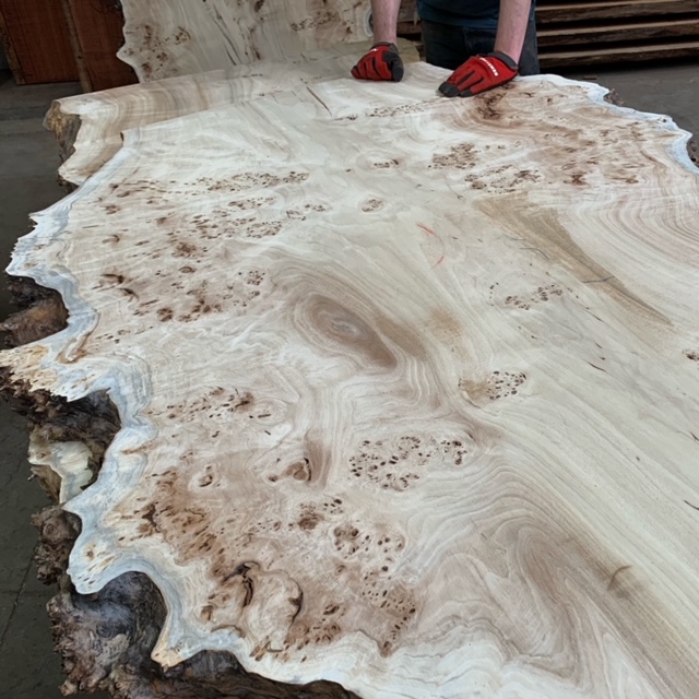 Tropical Exotic Hardwoods: Mappa Burl!