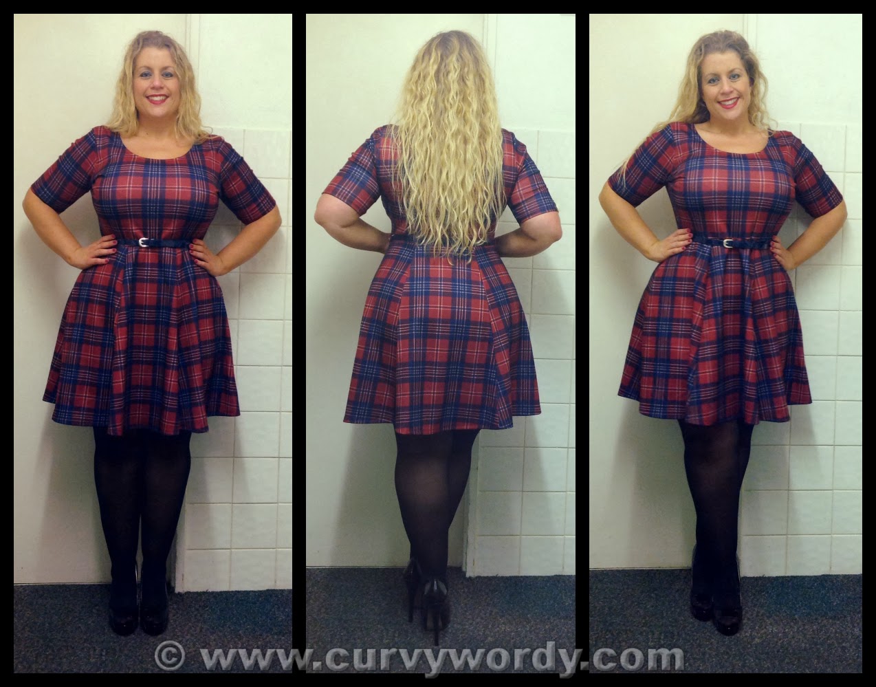 Pink Clove Tartan Skater Dress 18 - Curvy Wordy