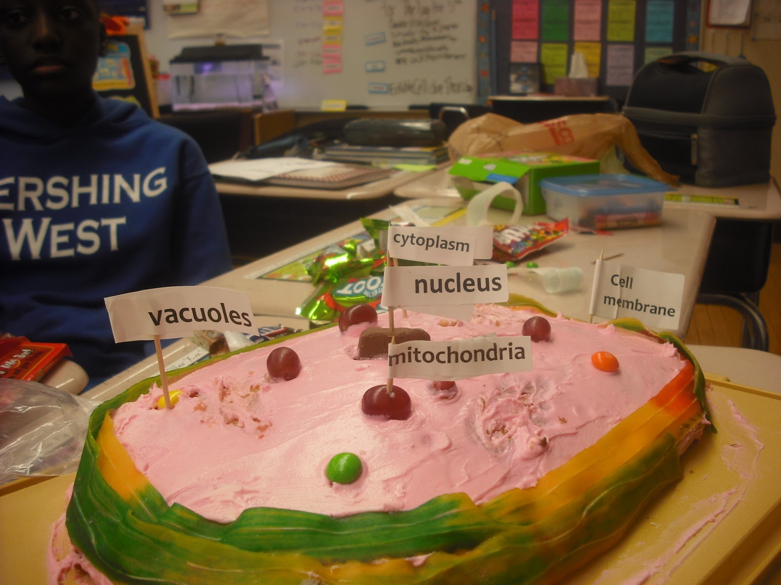 Mrs. Vera's Classroom: Edible Cells