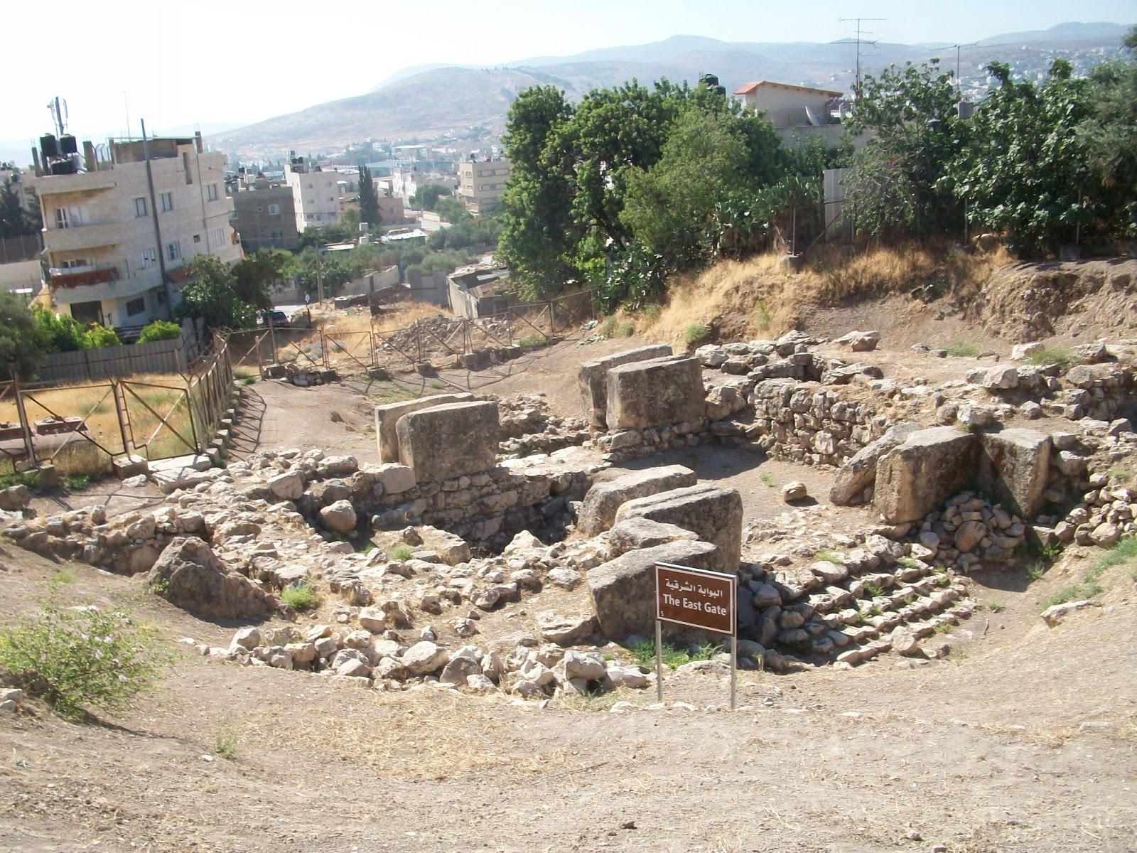 Israel 2015: Day Seventeen: Samaria Field Study