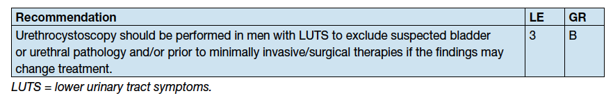 Male LUTS: MALE LUTS EAU GUIDELINES
