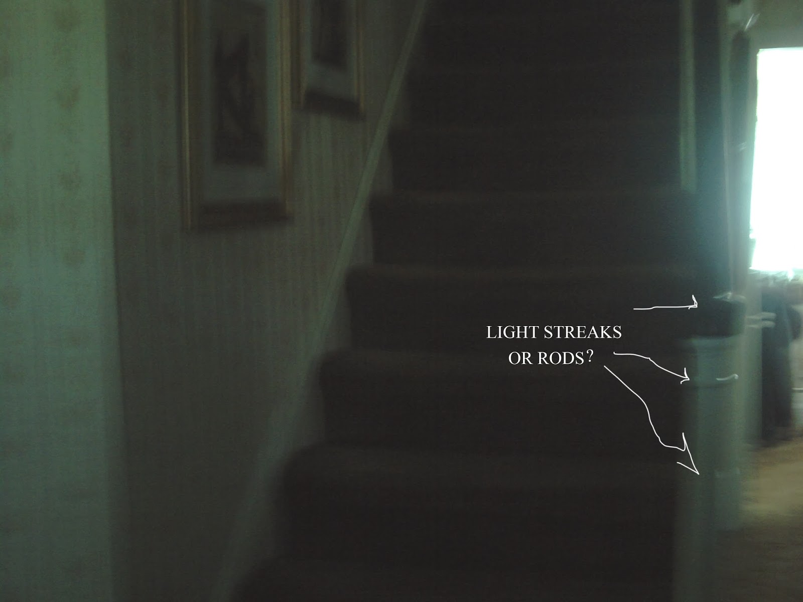 Anita Jo Intenzo-Haunted Author: SPIRIT RODS-ARE THEY REAL?