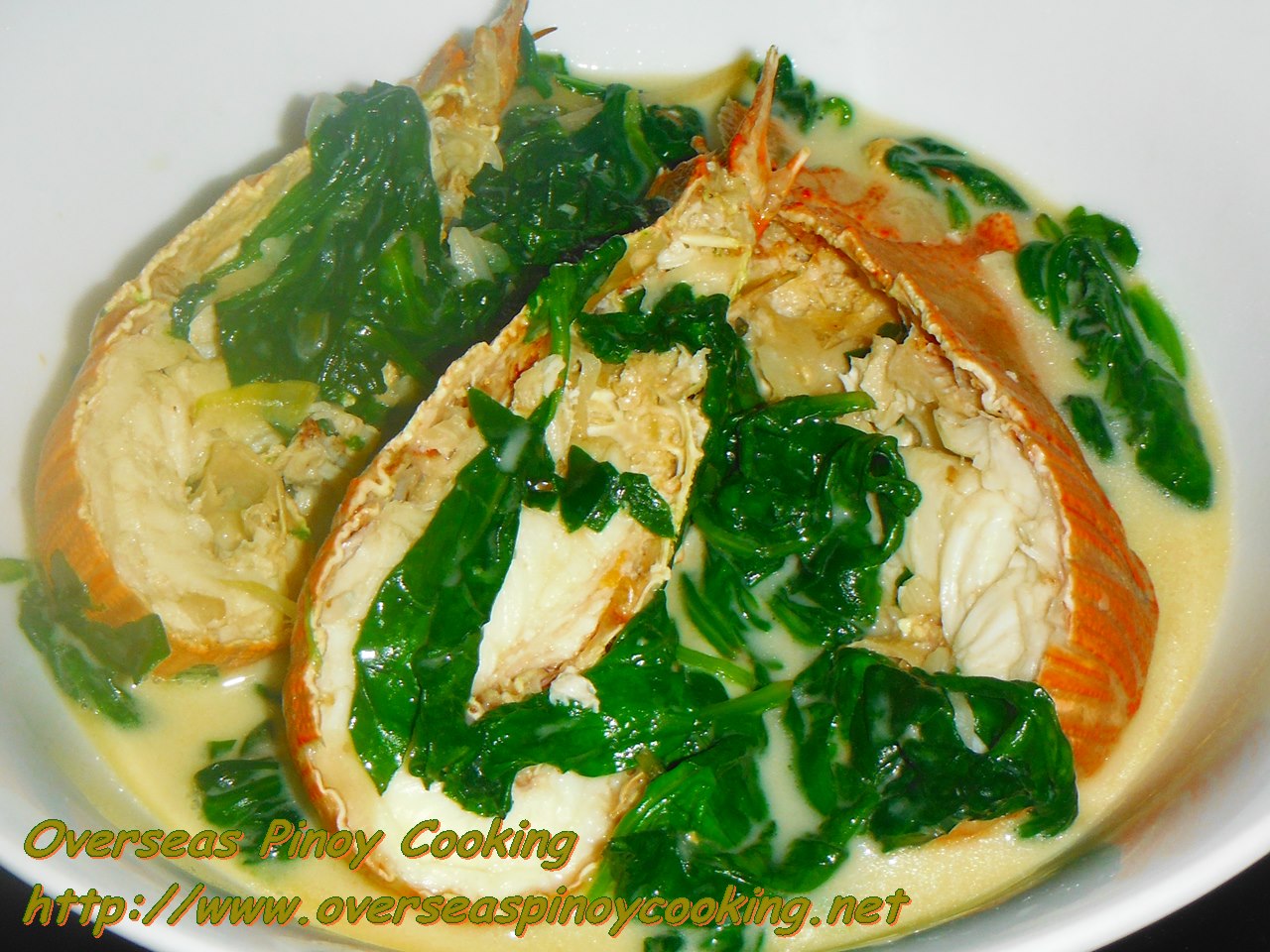 Guinataang Pitik with Spinach, Slipper Lobster in Coconut Milk with ...