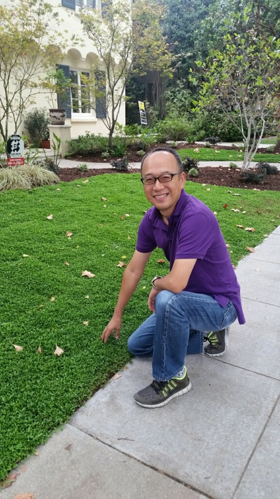 Kurapia® - UC Tested, Science Behind Water Efficient Groundcover: First ...