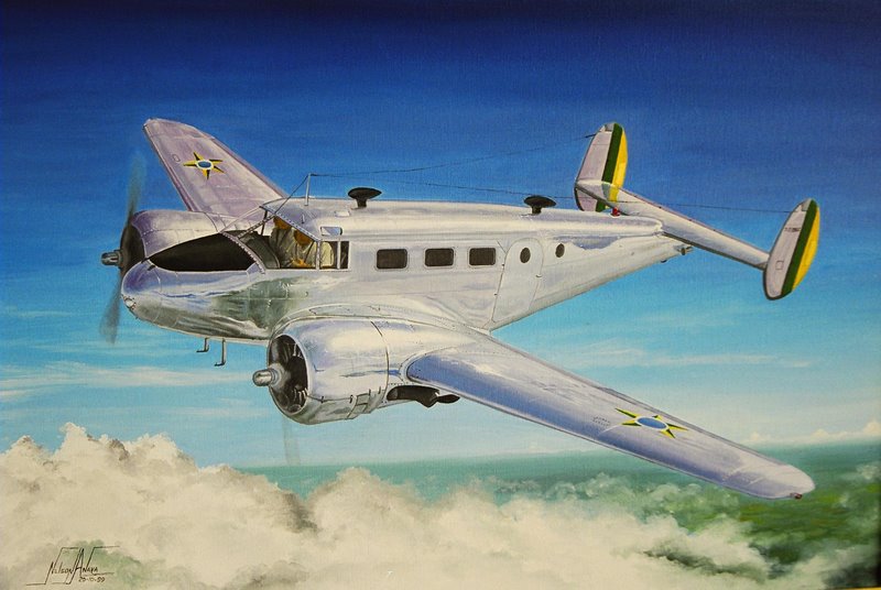 NELSON ANAYA - A ARTE AERONÁUTICA