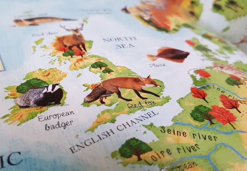 The Brick Castle: Totally Wild Fact-Packed, Fold-Out Animal Atlas ...