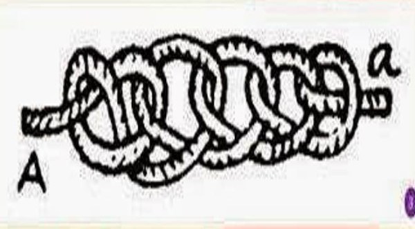 SEDIKIT TANYA BLOGSPOT: TALI, SIMPUL, DAN IKATAN