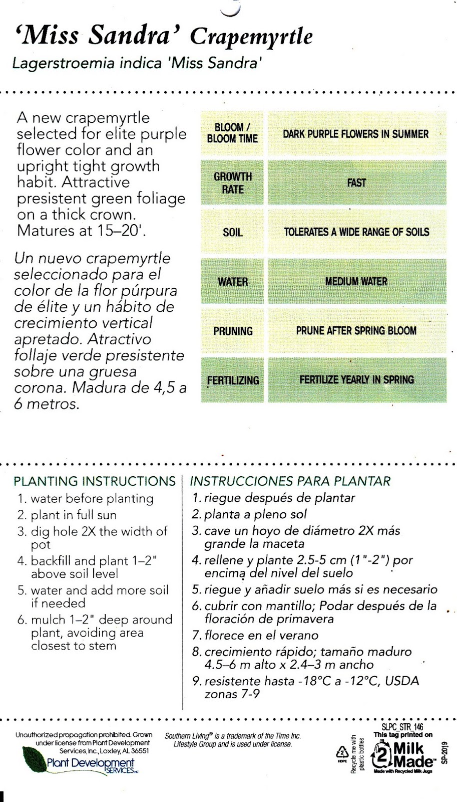 Julie Ann Brady : Blog On: Miss Sandra Crape Myrtle