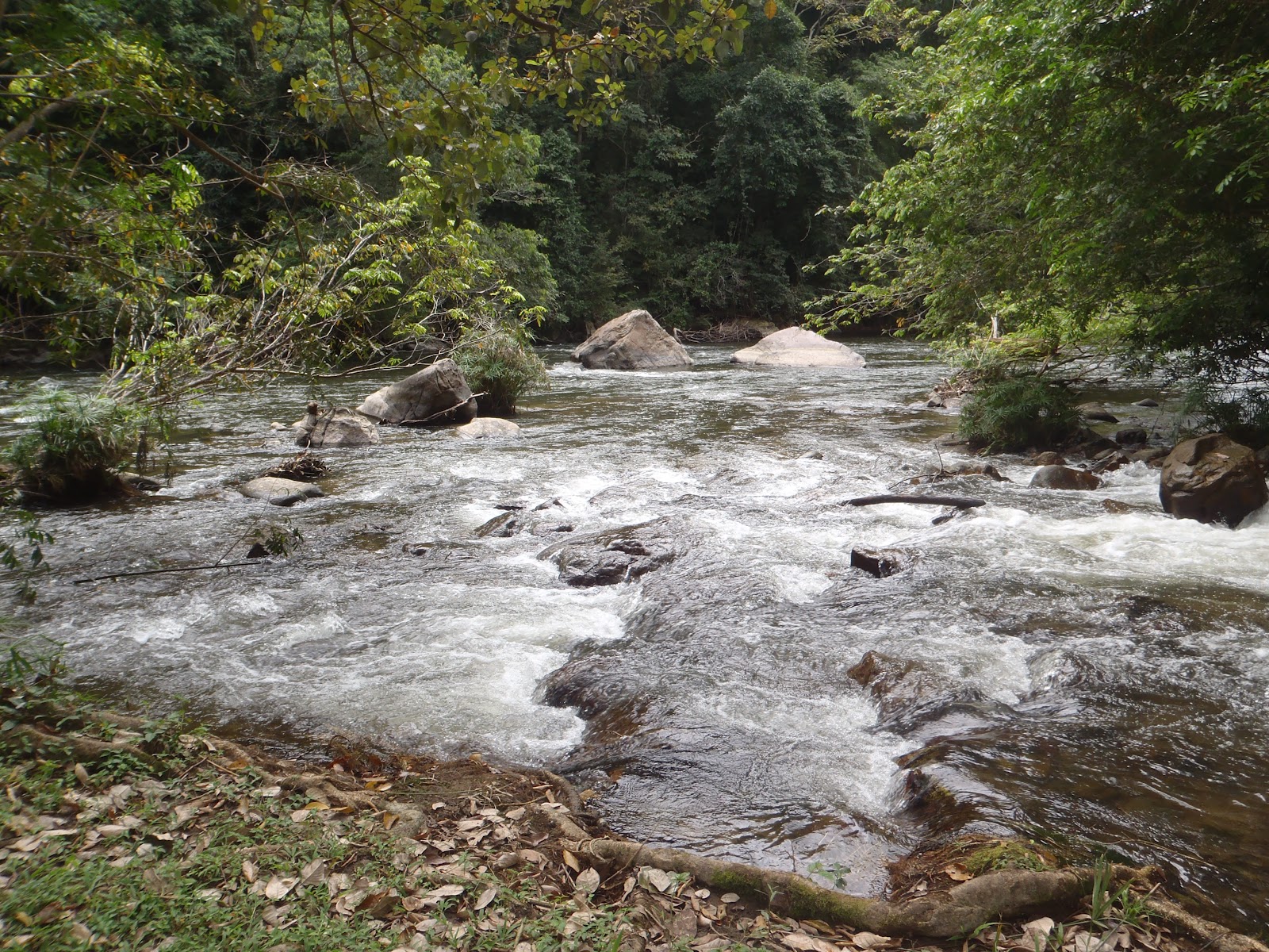 ANDO PASEANDO, TRIP, TIPS... Travel, enjoy, learn and repeat ...