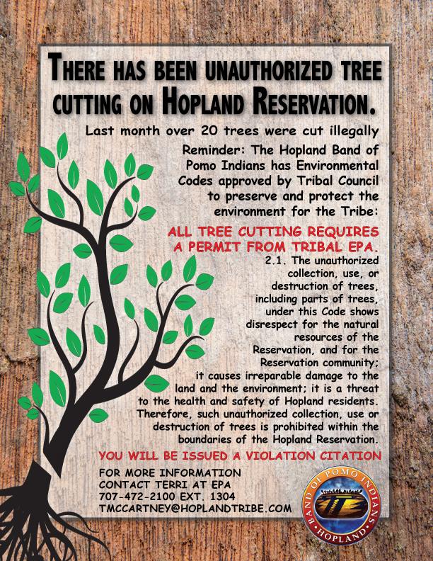 Original Pechanga Blog: HOPLAND RESERVATION: Full Grown Trees Cut DOWN ...