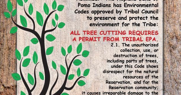Original Pechanga Blog: HOPLAND RESERVATION: Full Grown Trees Cut DOWN ...