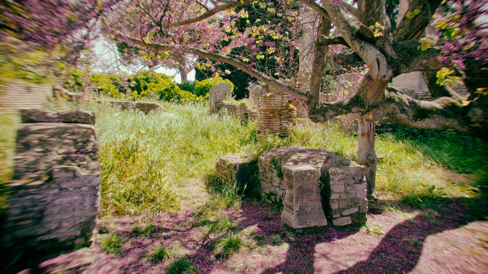 Greg Halvorsen Schreck Photography