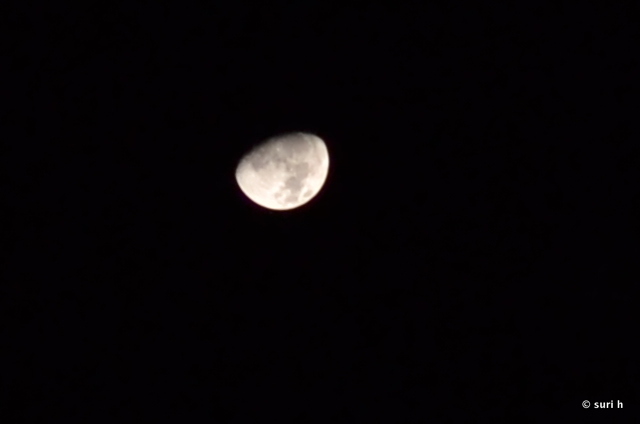 Suri's Photography: Shooting moon with your kit lens...