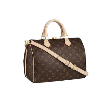 Purse Talk: MK & LV