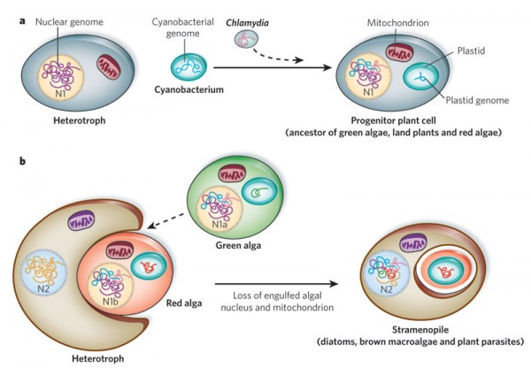 Noticias con ciencia: Falleció Lynn Margulis