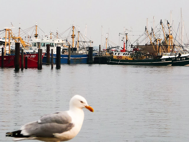 Dorpen en Steden van Nederland: Yerseke (Zeeland)