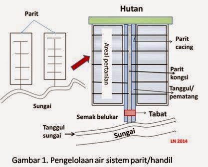Pertanian Indonesia Mandiri: Teknologi Tata Air di Lahan Gambut Untuk ...