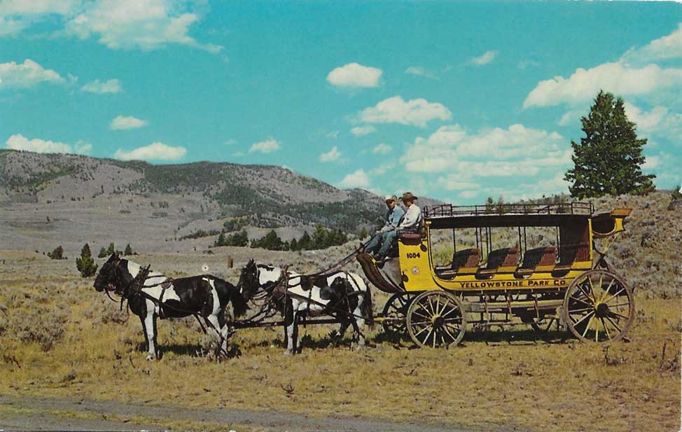 *Postcard Gems: Yellowstone Park Stagecoach