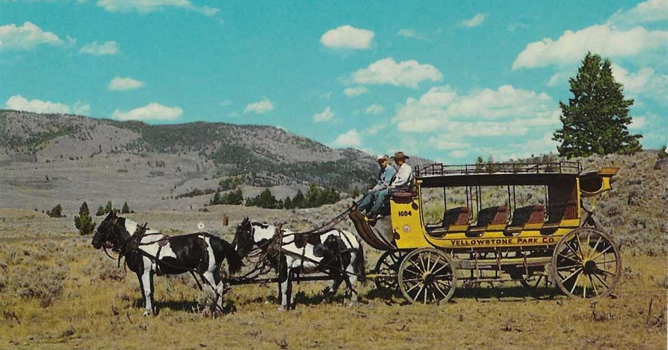 *Postcard Gems: Yellowstone Park Stagecoach