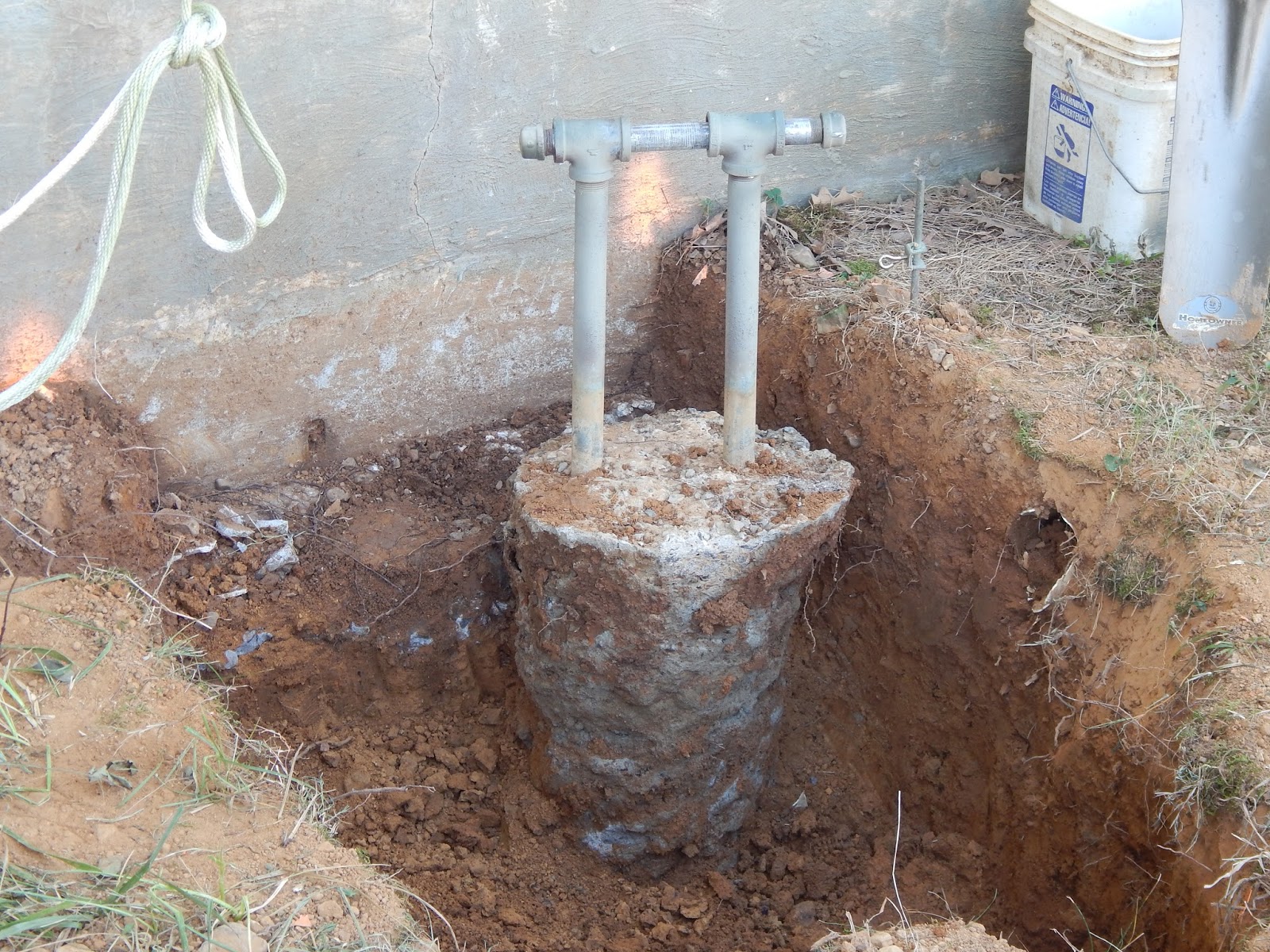 Thoughts from Frank and Fern: Homestead News, Volume 15