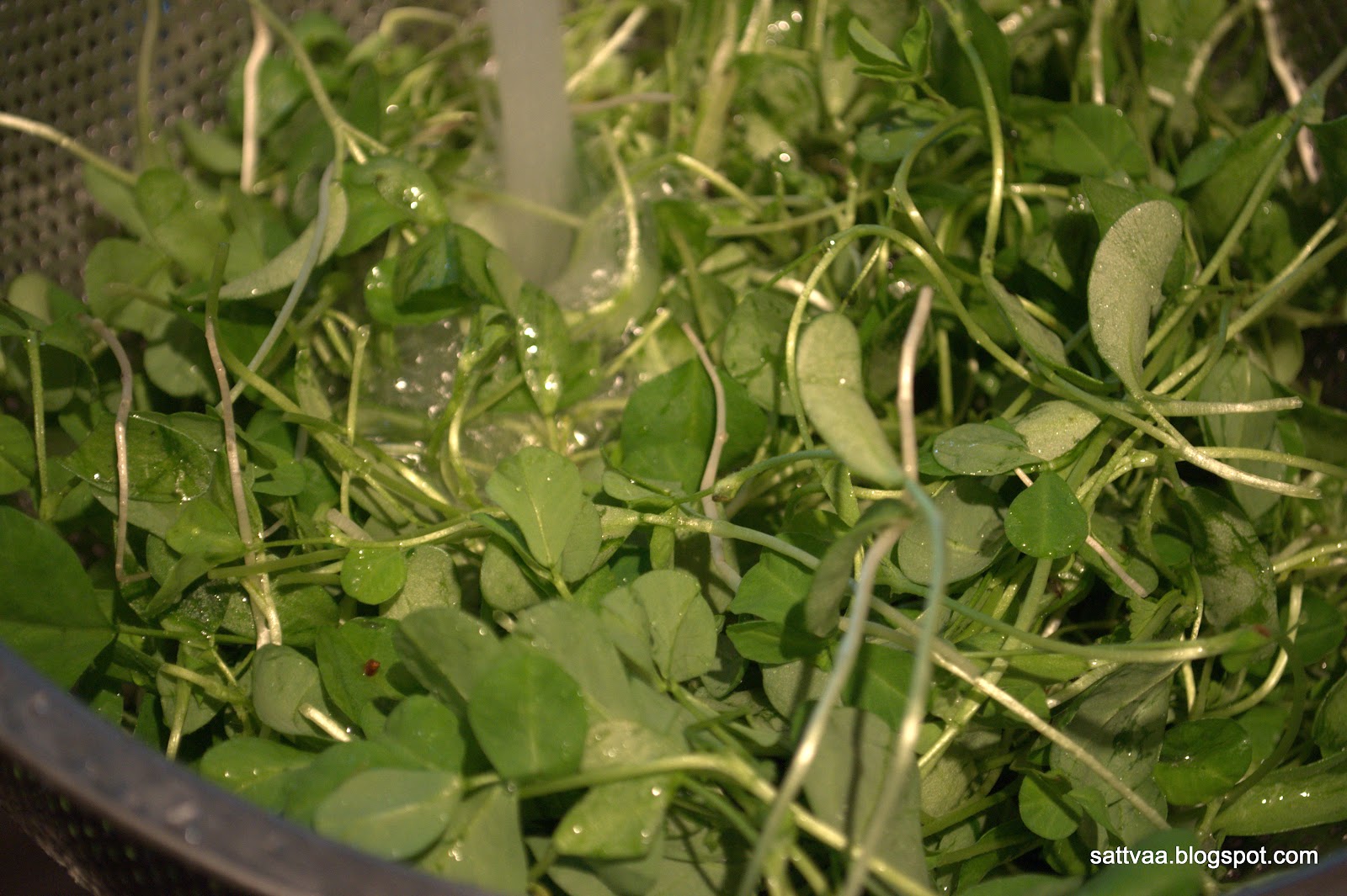 Sattvaa: Menthya Matvadi palya - Fenugreek flavored, lentils loaded dry ...