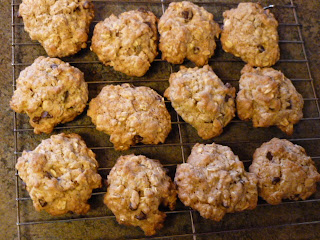 We can begin to feed...: Craving Coconut? Give These Cookies a Try!