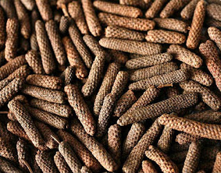 Medicinal Plants : Long Pepper ~ Medic Box