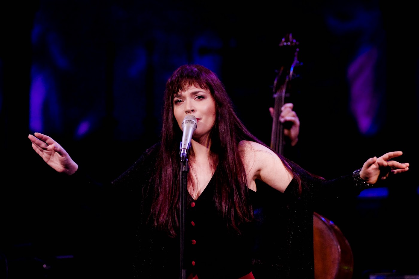 JazzDaniels: Atina Jazz Winter 2014: Elina Duni Quartet